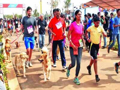 Pet marathon and fashion show in Bengaluru | Events Movie News - Times ...
