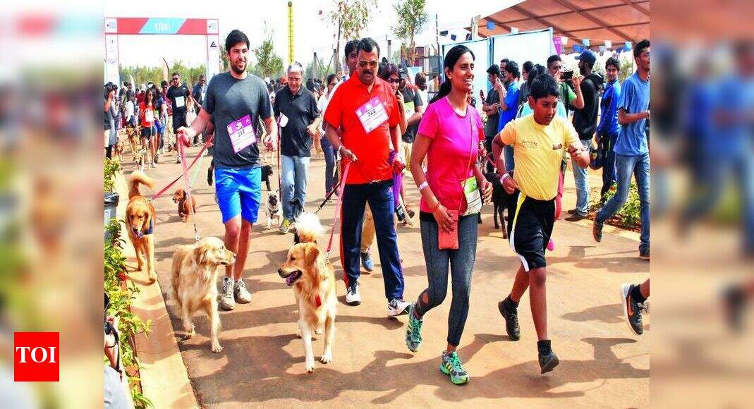Pet marathon and fashion show in Bengaluru | Events Movie News - Times ...