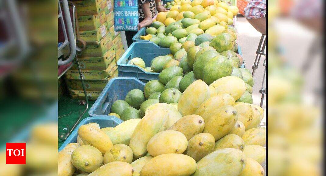 Mango time: King of fruits makes early entry this year | Goa News ...