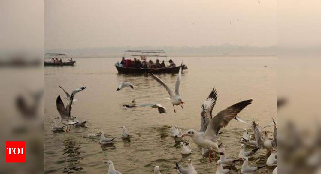 Burdened Borim bridge to get new lease of life soon | Goa News - Times ...