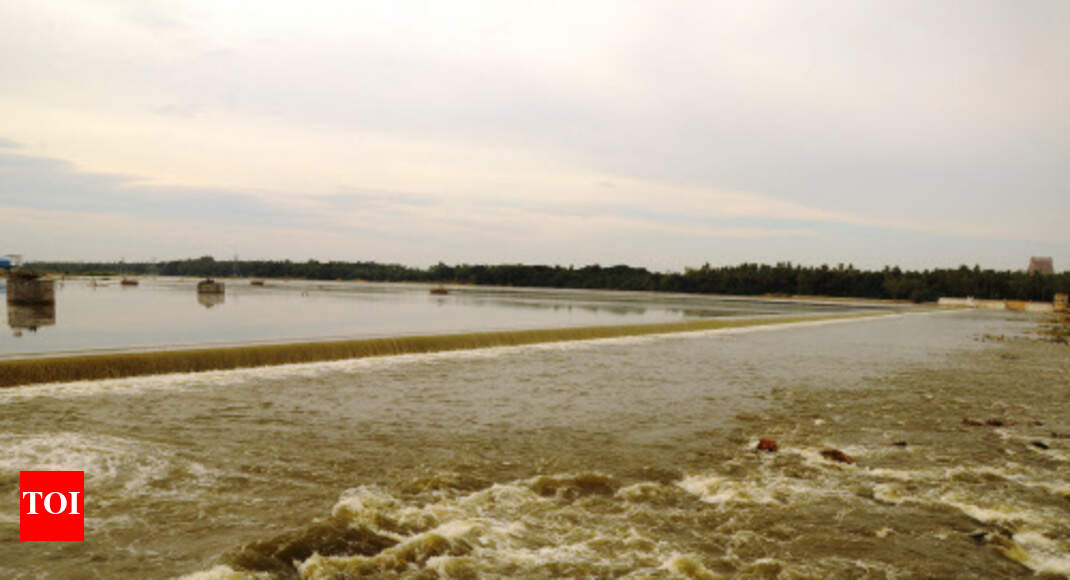 Illegal tree felling poses threat to Amthane dam | Goa News - Times of ...