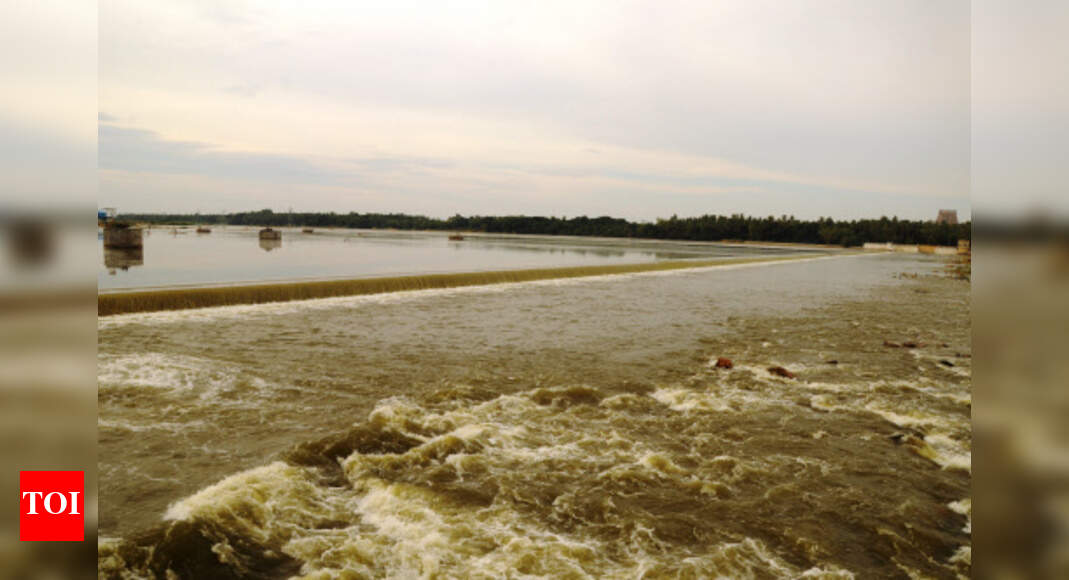 Illegal tree felling poses threat to Amthane dam | Goa News - Times of ...