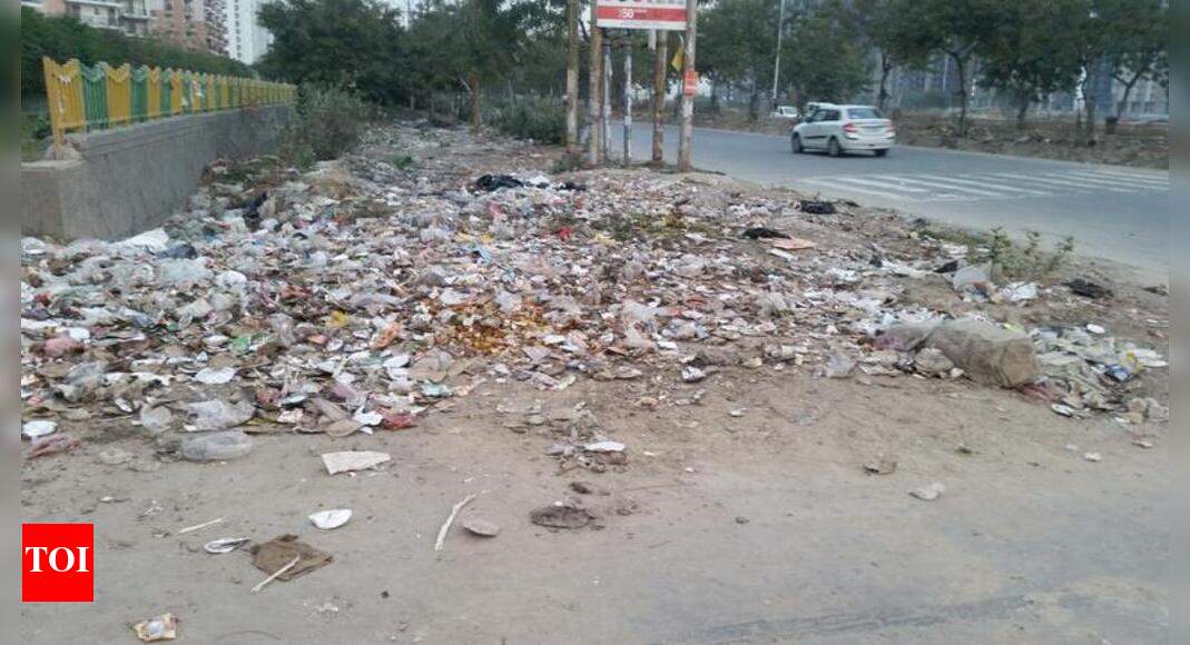Wanted in Noida: A garbage bin - Times of India