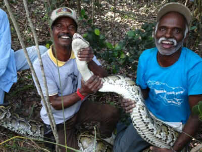 Vadivel Gopal: Irula snake catchers make hisstory in Florida! | Chennai ...