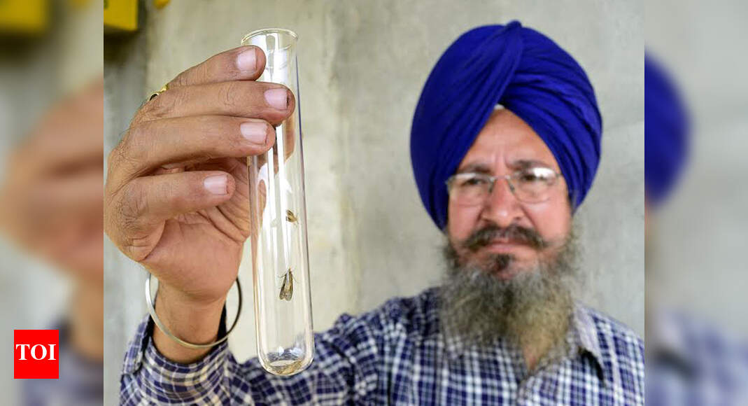Organic Farming : Khalsa College Lab develops 'friendly insects' to ...