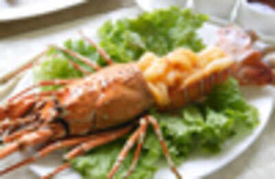 Fish mania at... - The Times of India