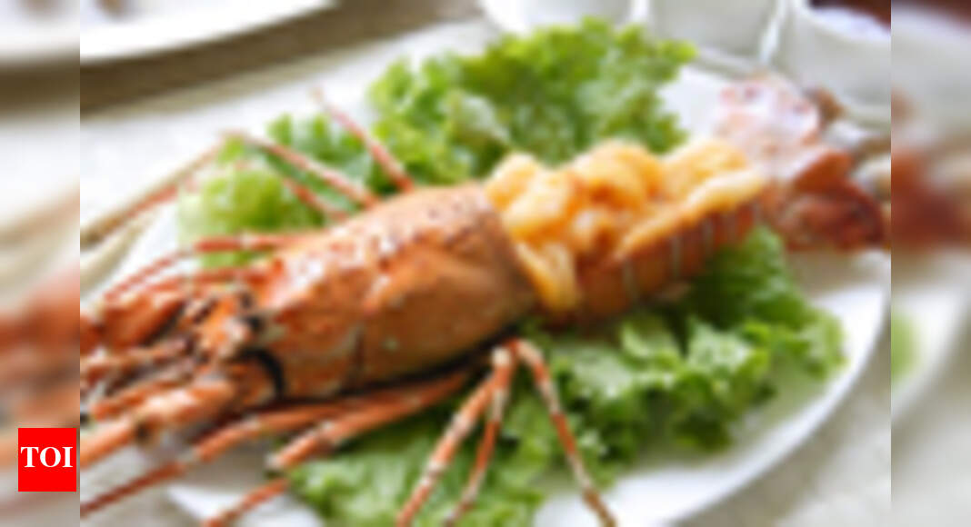 Fish mania at... - The Times of India