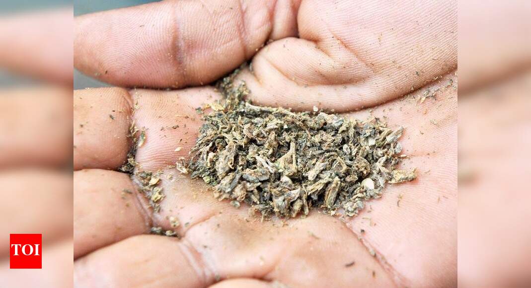 Now, ganja guide on the click of a mouse | Hyderabad News - Times of India