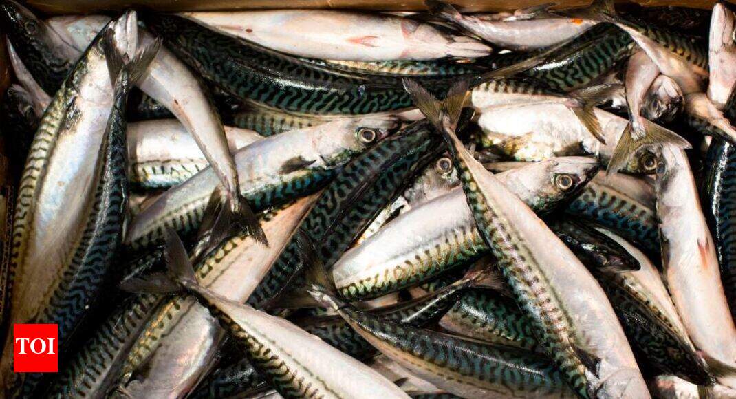 Madhya Pradesh widens net to ramp up fish output | Bhopal News - Times ...