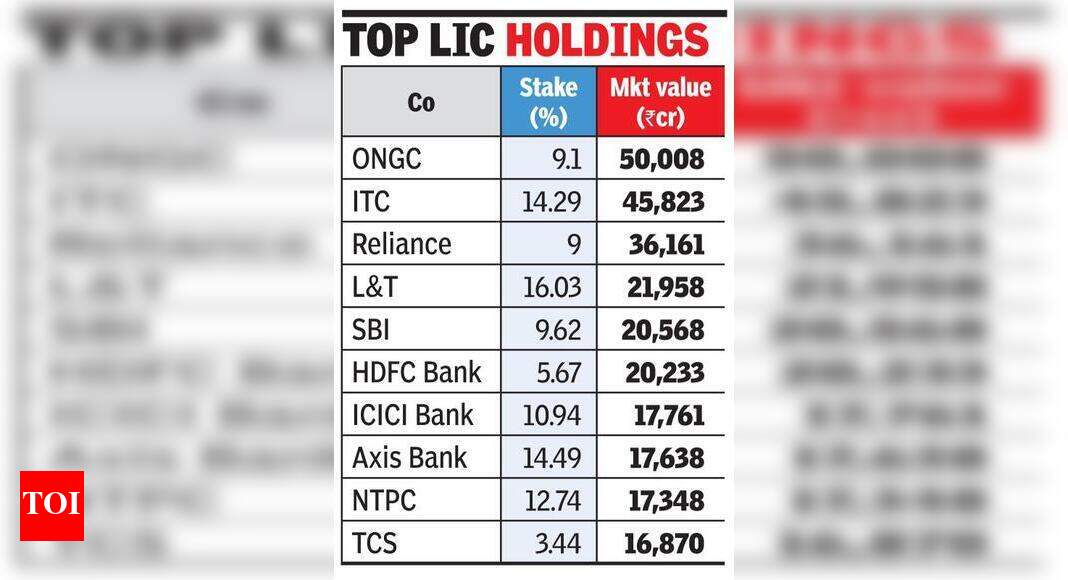 Biggest equity investor LIC wary of stocks - Times of India