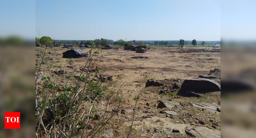 New Abattoir At Adampur: Resentment against new abattoir at Adampur ...