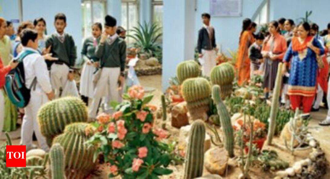 CSIR labs open doors to children | Lucknow News - Times of India