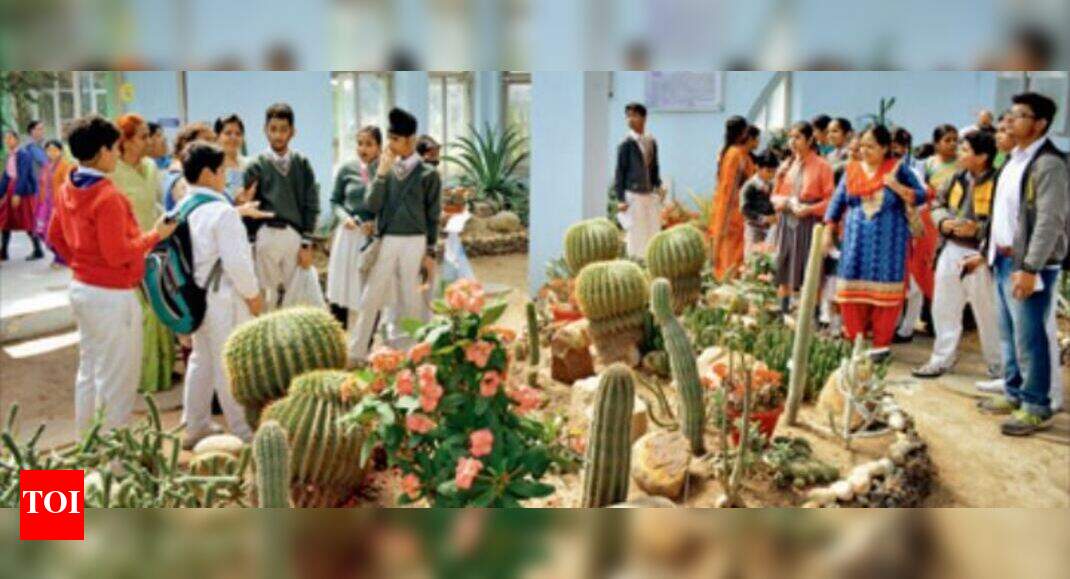 CSIR labs open doors to children | Lucknow News - Times of India