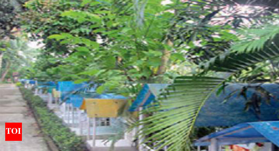 tarumitra ashram: One more tree house at Tarumitra Ashram | Patna News ...
