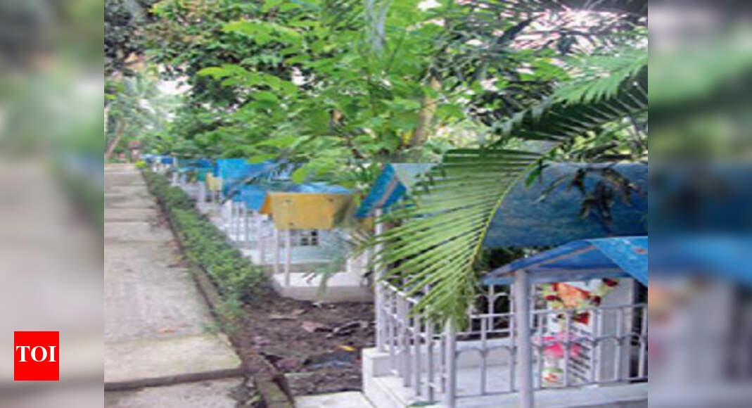 Tarumitra Ashram: One more tree house at Tarumitra Ashram | Patna News ...