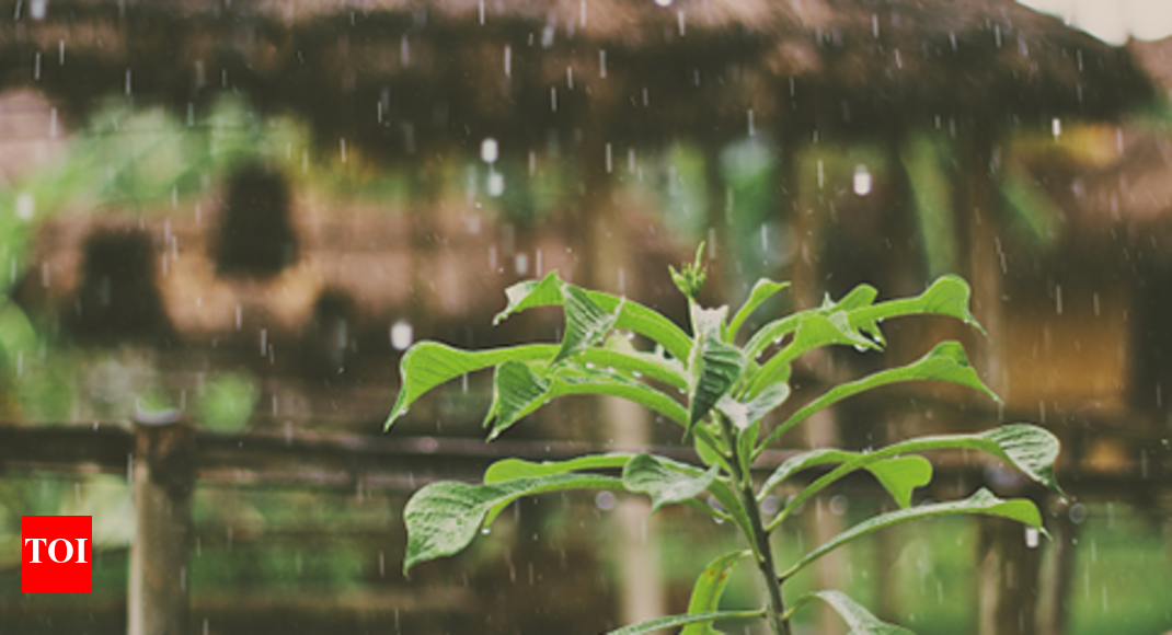 Pollution turning India’s rainfall acidic | India News - Times of India