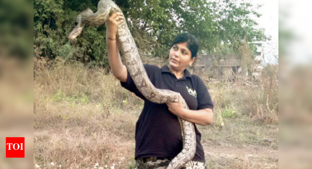 These women rescue snakes lost in the Mumbai's urban jungle | Mumbai ...