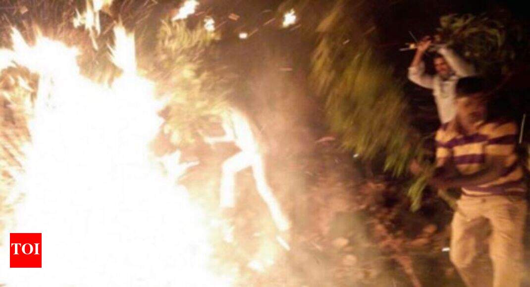 fires in Karnataka forest: Kappatagudda fire triggers fears of mining ...