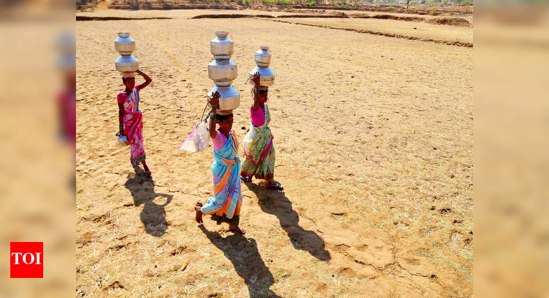 Drought In Tamil Nadu: Water mantra for summer: Harvest, store ...