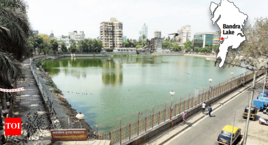 Bandra Talao: In Bandra Talao 2.0, you can go down a glass tunnel for ...
