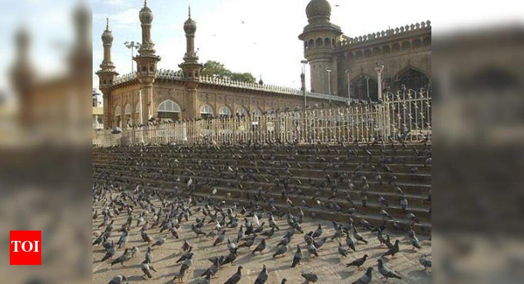 mecca masjid bombing - Times of India