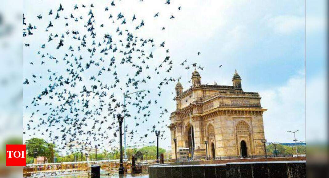 Latest News, Videos and Photos on 1993 Bombay bombings | - Times of India