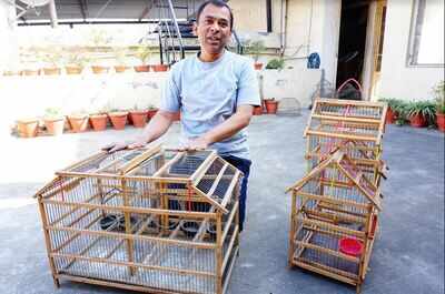 For this ornithologist, bird cages are about human culture too | Meerut ...