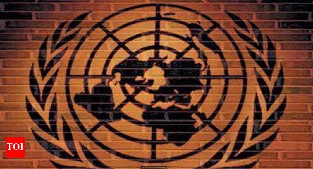 UNSC veto: India open to 'no veto', for now, as UNSC member; Pak still ...