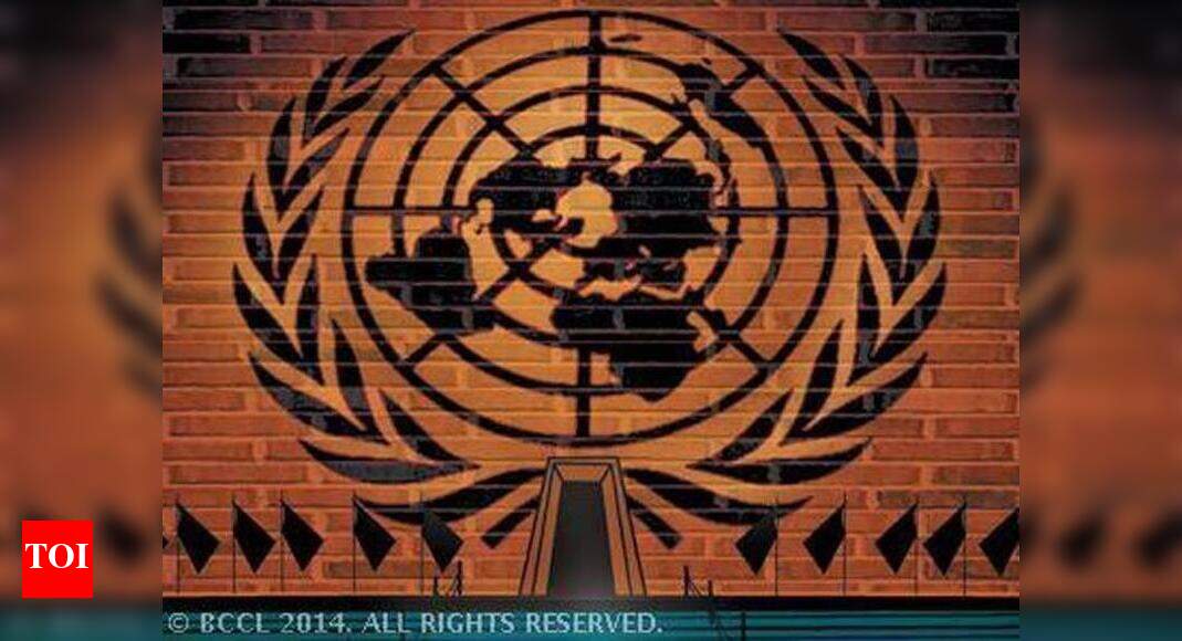 UNSC Veto: India open to 'no veto', for now, as UNSC member; Pak still ...