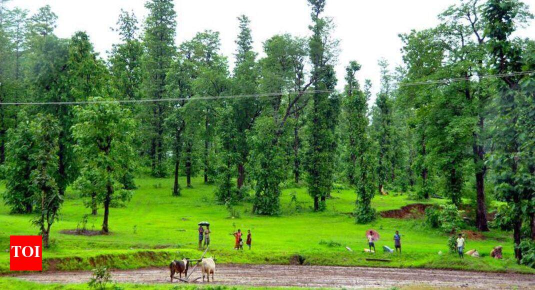 Dang Darbar to kickstart from today at Ahwa | Surat News - Times of India