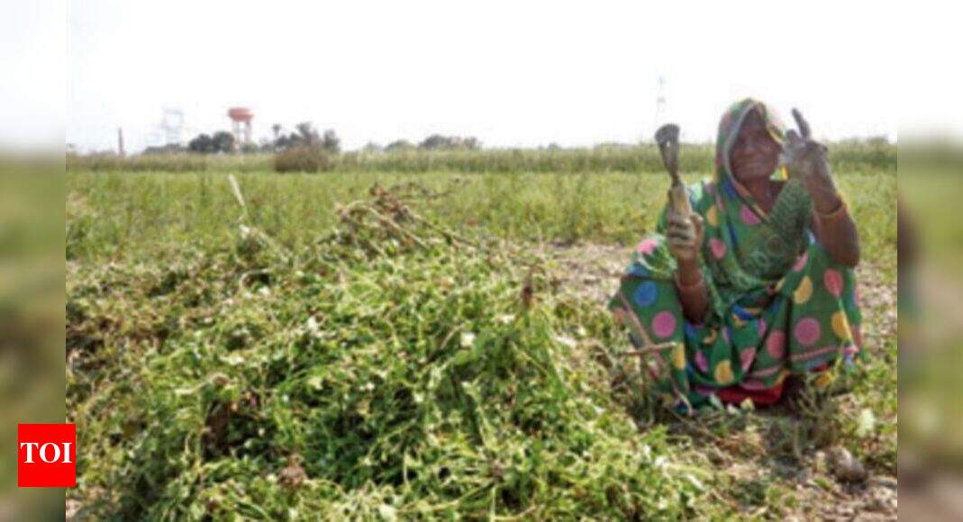 PM Modi's Jayapur votes before daily chores | Uttar-Pradesh Election ...