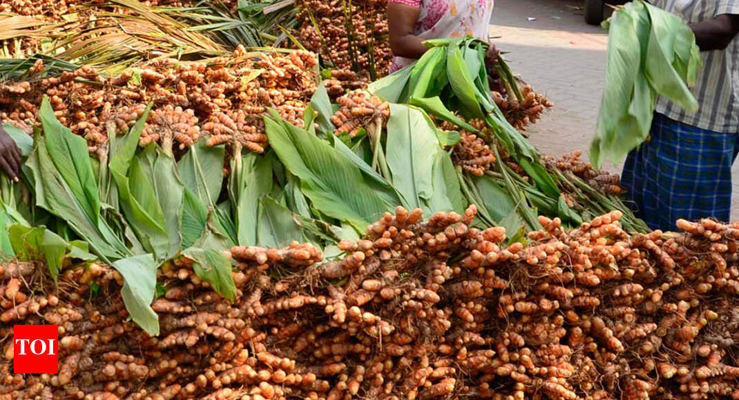 Turmeric price decreasing in Erode turmeric market | Erode News - Times ...