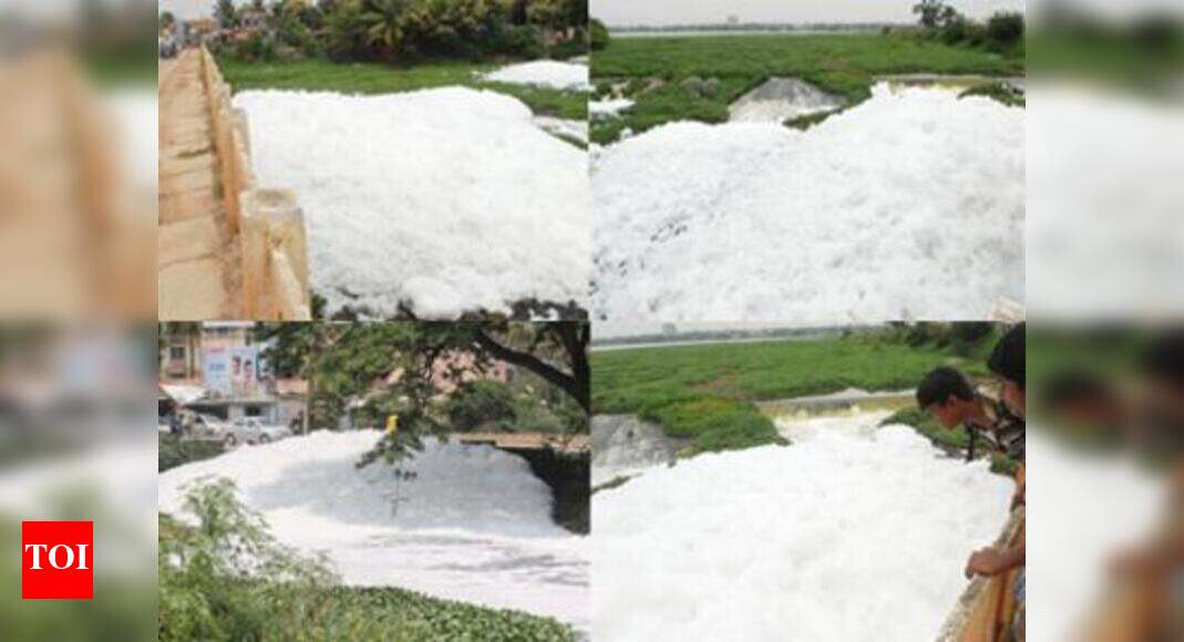 Vartur lake throws foams, yet again | Bengaluru News - Times of India