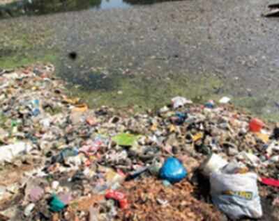 Garbage mafia has given rise to at least 100 illegal dumping sites ...