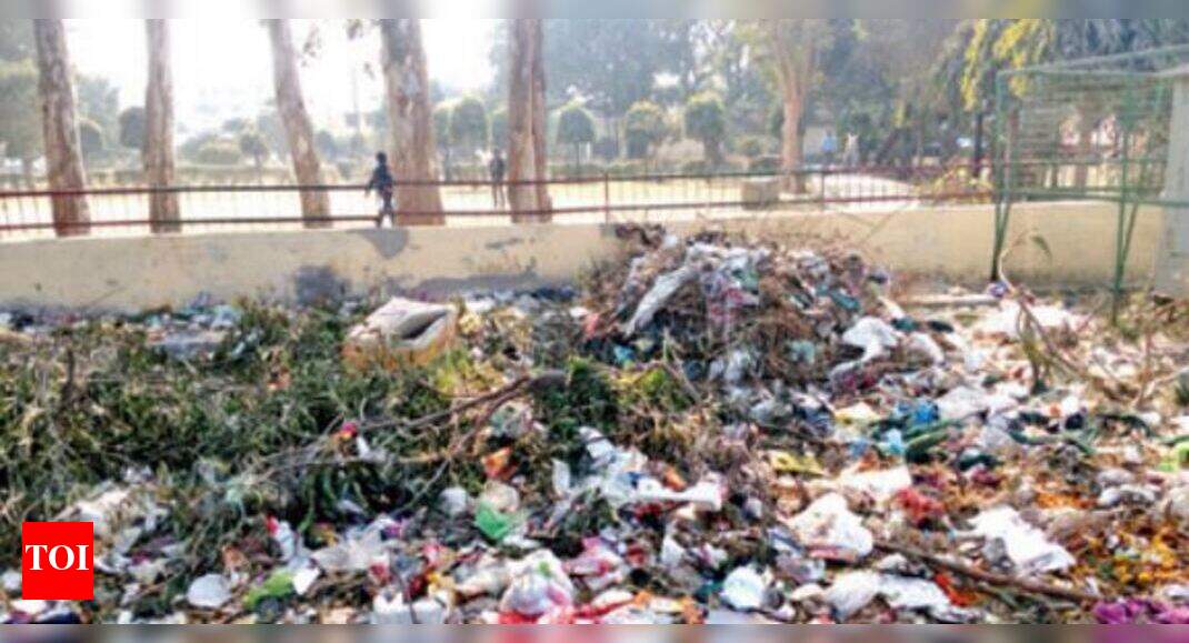Garbage: Garbage segregation a must | Bengaluru News - Times of India