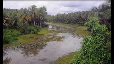 Mampuzha River: Committee formed to prepare action plan to protect Mampuzha river | Kozhikode ...
