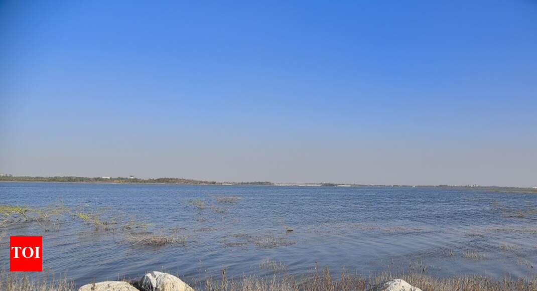 Gandipet lake: OMG! Gandipet is 1780.580 ft Right now and it is a swell ...