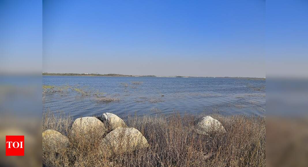 Gandipet Lake: OMG! Gandipet is 1780.580 ft Right now and it is a swell ...