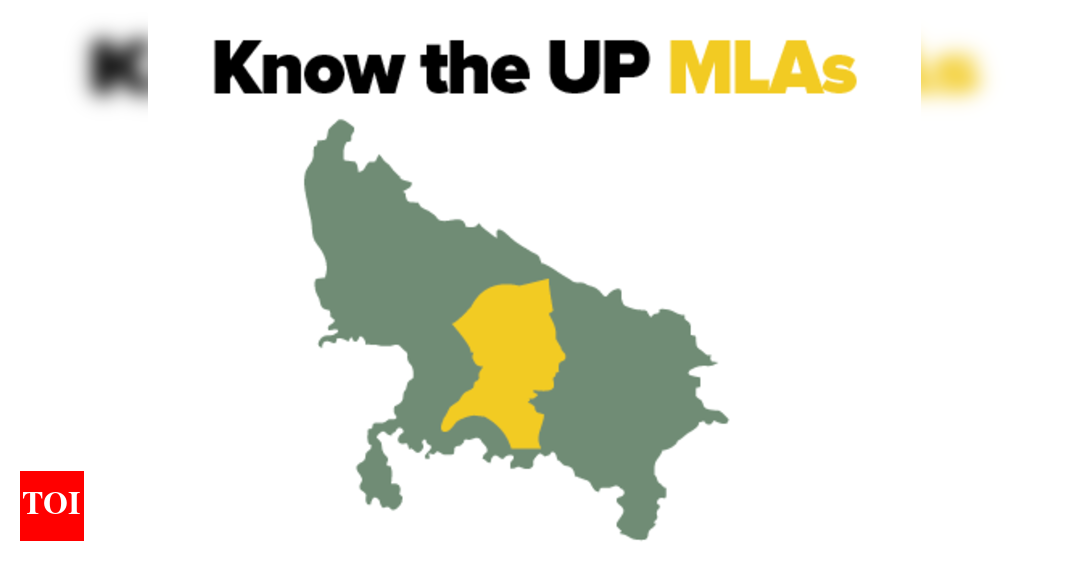 Infographic: UP Assembly 2017: The MLA fact sheet | Uttar-Pradesh ...