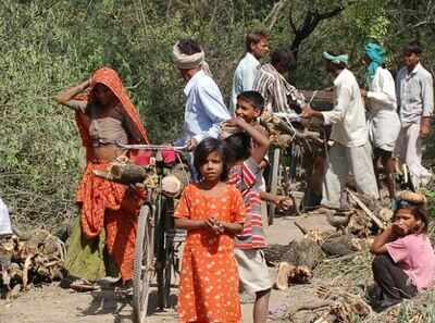 Invasive Plant Species: Rajasthan foresters seek NREGA help to clear ...