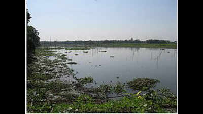 Healing touch for Deepor Beel | Guwahati News - Times of India