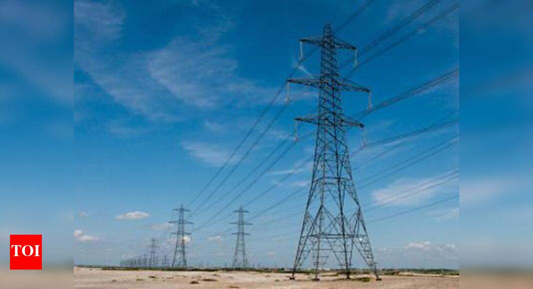 Tamil Nadu seeks Rs 17,000 crore from Centre to enhance power ...