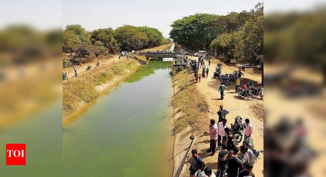 Padra Taluka: Two brothers drown in Narmada canal in Padra | Vadodara ...