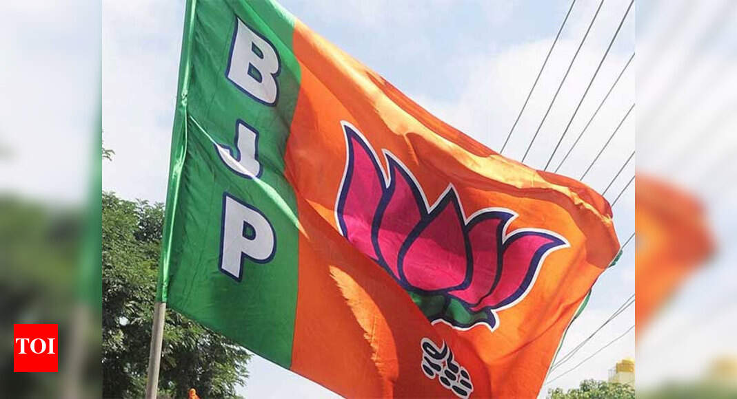 BJP: BJP mulling theme song for MCD poll campaign | Delhi News - Times ...