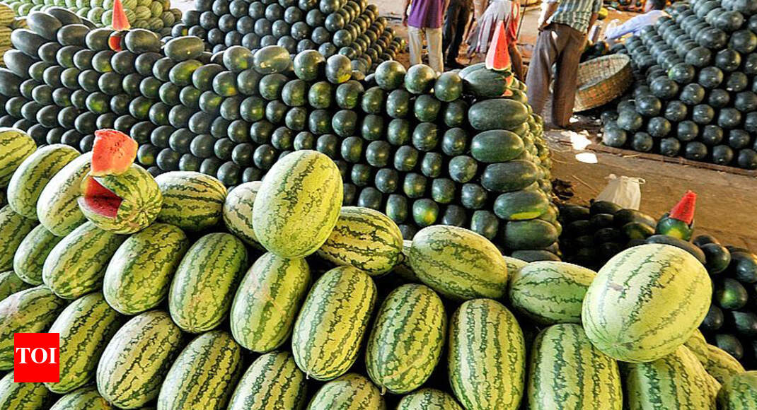 Parra watermelon produce makes farmers mouth water | Goa News - Times ...