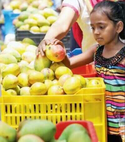 Not just Lalbagh, mango mela in other areas too | Bengaluru News ...