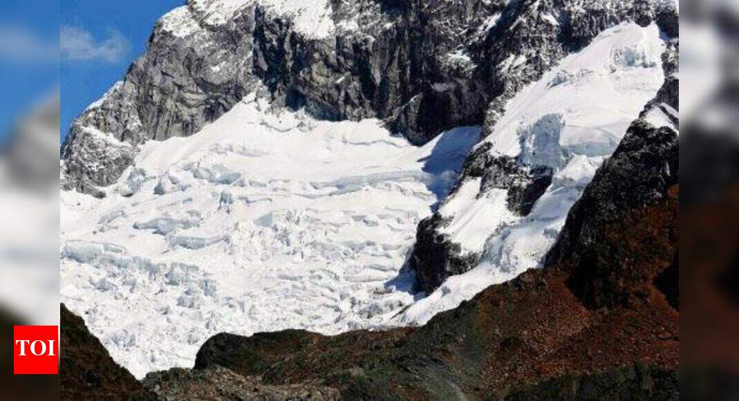 Temperature drop led to mass extinction 35 million years ago - Times of ...