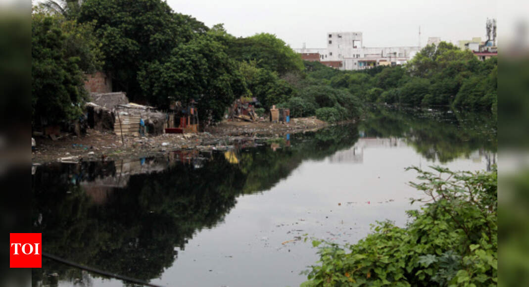 Restore Cooum and Adayar rivers to their past glory, Madras HC tell TN ...