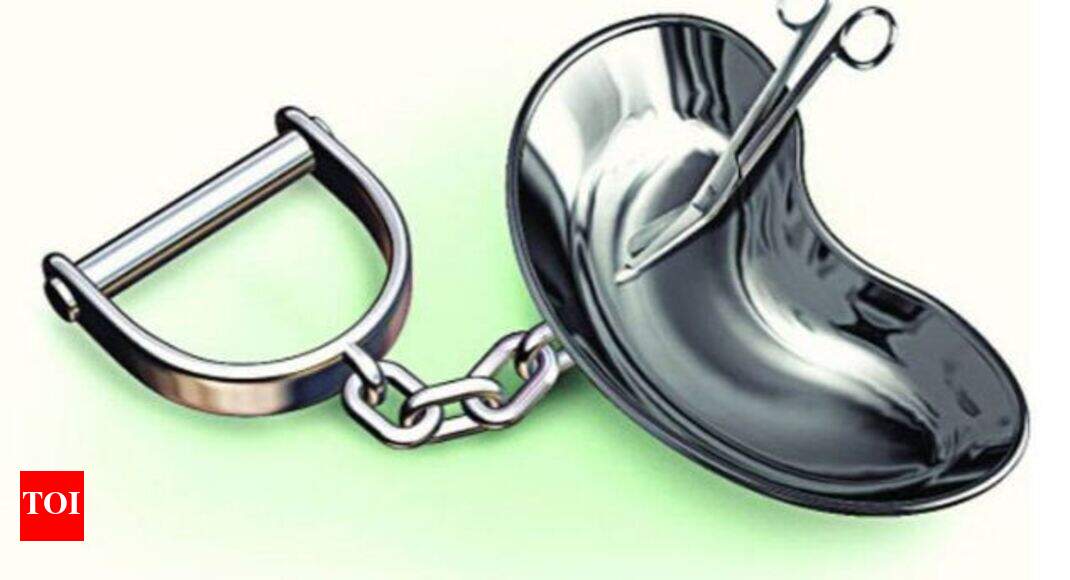Kidney racket reaches high court again | Ahmedabad News - Times of India