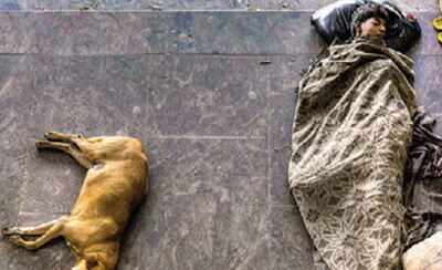 Sleep through art? Painter looks to raise awareness | Chennai News ...